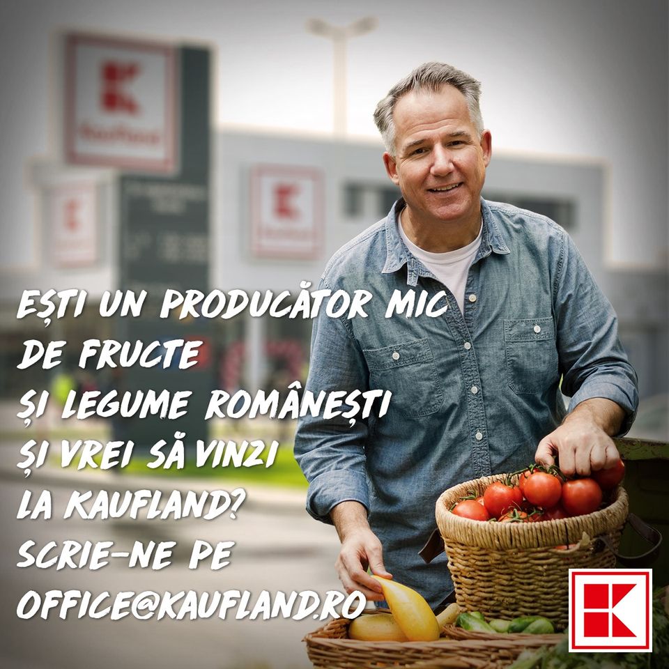 Kaufland isi ofera spatiul din magazine pentru a gazdui micii ...